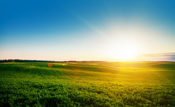 Free Field Images – Browse 23,558 Free Stock Photos, Vectors, and Video ...