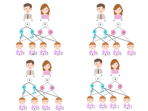 รูปภาพGenotype – เลือกดูภาพถ่ายสต็อก เวกเตอร์ และวิดีโอ2,112 | Adobe Stock