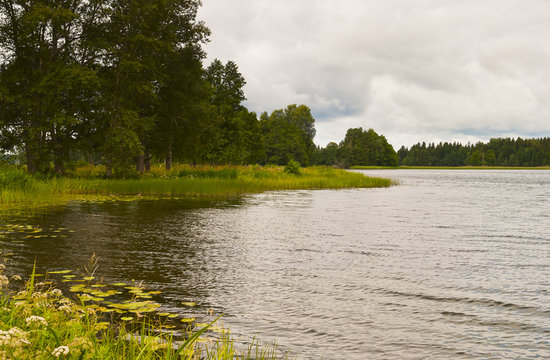 Frola Images – Browse 63 Stock Photos, Vectors, and Video | Adobe Stock