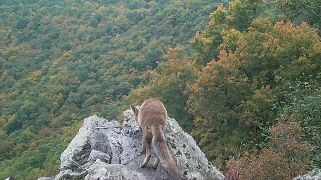 รูปภาพFelse – เลือกดูภาพถ่ายสต็อก เวกเตอร์ และวิดีโอ290 | Adobe Stock