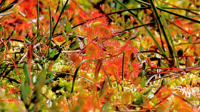 รูปภาพConiin – เลือกดูภาพถ่ายสต็อก เวกเตอร์ และวิดีโอ41 | Adobe Stock
