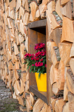 「Umelt」の画像 - 72 件の Stock 写真、ベクターおよびビデオ | Adobe Stock