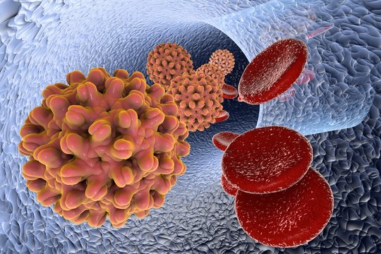 Hepadnaviridae Images – Browse 359 Stock Photos, Vectors, and Video ...