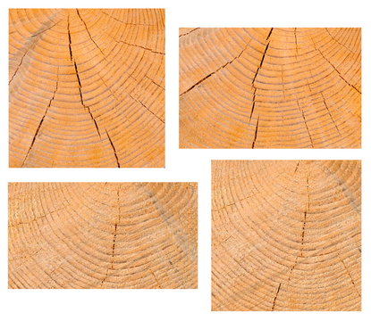 Chipwood Bilder – Durchsuchen 130 Archivfotos, Vektorgrafiken und ...