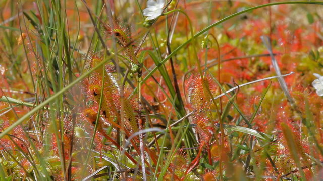 รูปภาพConiin – เลือกดูภาพถ่ายสต็อก เวกเตอร์ และวิดีโอ41 | Adobe Stock