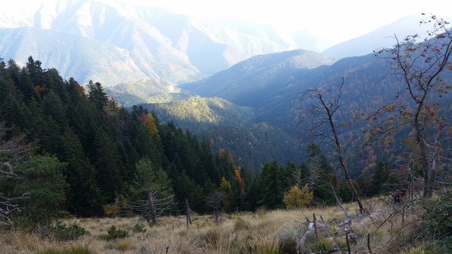 Abrute bilder – Bläddra bland 11 stockfoton, vektorer och videor ...