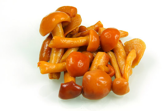 Nameko Images – Browse 1,857 Stock Photos, Vectors, and Video | Adobe Stock