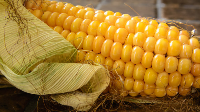 「Genmanipuliert」の画像 - 636 件の Stock 写真、ベクターおよびビデオ | Adobe Stock