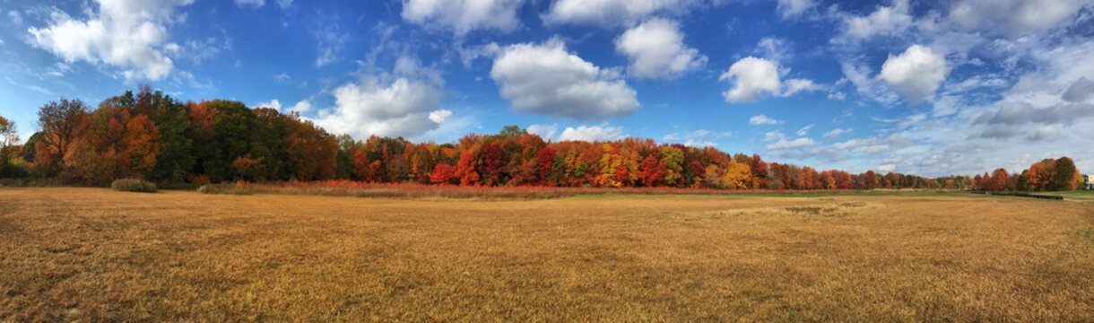 "Autumn Field" Images – Browse 689 Stock Photos, Vectors, and Video ...