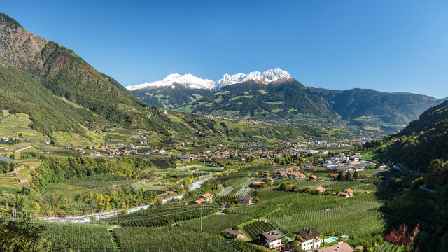 รูปภาพIfinger – เลือกดูภาพถ่ายสต็อก เวกเตอร์ และวิดีโอ331 | Adobe Stock