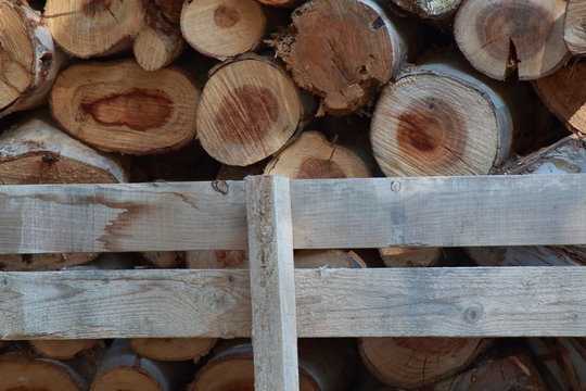 "Odun Images – Browse 1,030 Stock Photos, Vectors, and Video | Adobe Stock