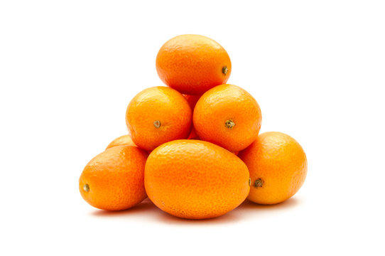 Miniorange Images – Browse 65 Stock Photos, Vectors, and Video | Adobe ...