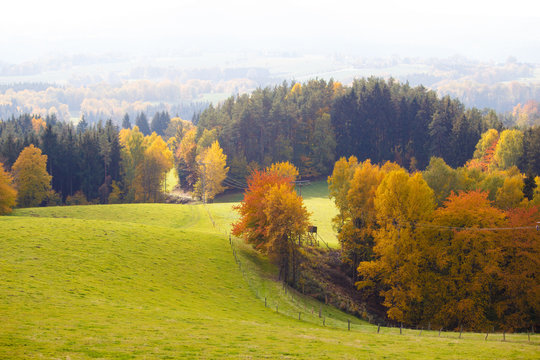 37 BEST Hanke IMAGES, STOCK PHOTOS & VECTORS | Adobe Stock