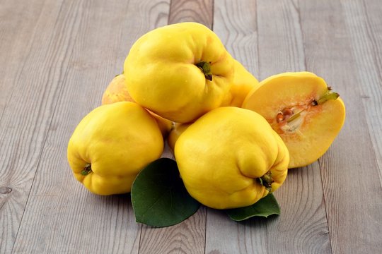 Quitte Bilder – Durchsuchen 36,667 Archivfotos, Vektorgrafiken und ...