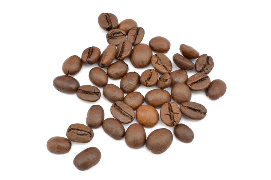 「Caryopse」の写真素材 | 23,712件の無料イラスト画像 | Adobe Stock