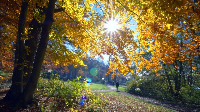 Ambach Billeder – Gennemse 172 stockfotos, vektorer og videoer | Adobe ...