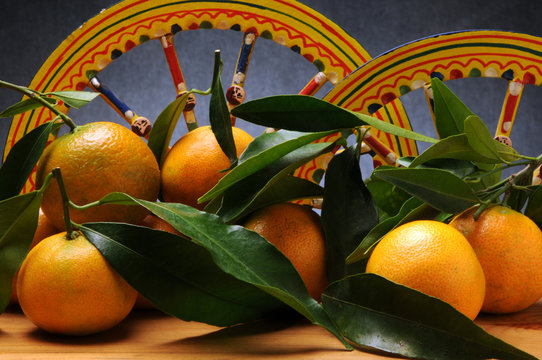 Clementin Images – Browse 6 Stock Photos, Vectors, and Video | Adobe Stock