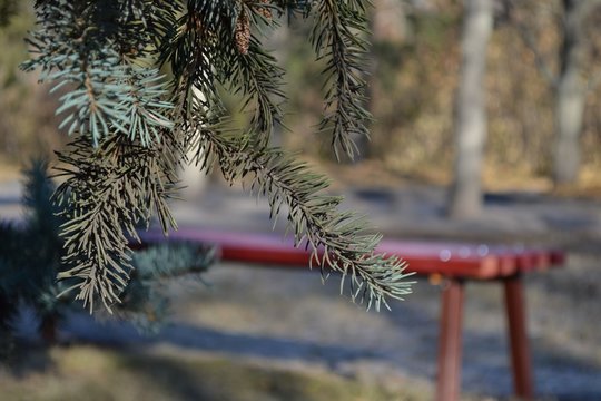 Olyhka photos, images, assets | Adobe Stock