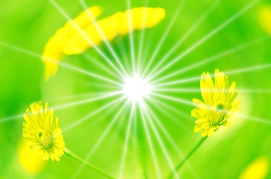 รูปภาพBejahen – เลือกดูภาพถ่ายสต็อก เวกเตอร์ และวิดีโอ203 | Adobe Stock