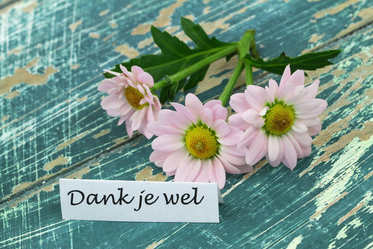 "Dank Je Wel" Images – Browse 43 Stock Photos, Vectors, and Video ...