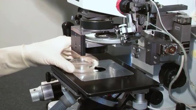 Ivf Lab Images – Browse 4,618 Stock Photos, Vectors, and Video | Adobe ...