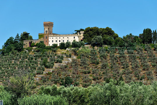 Magona Images – Browse 41 Stock Photos, Vectors, and Video | Adobe Stock