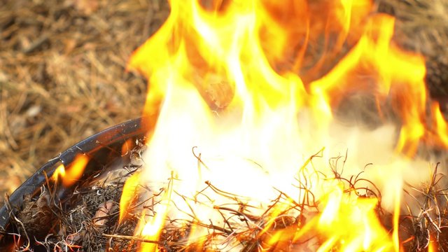 「Bareque」の写真素材 | 15件の無料イラスト画像 | Adobe Stock