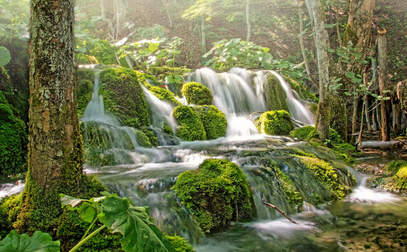 Refreshen Bilder – Durchsuchen 39,757 Archivfotos, Vektorgrafiken und ...