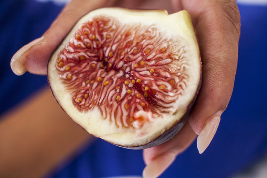 Fruchtfleisch bilder – Bläddra bland 9,864 stockfoton, vektorer och ...
