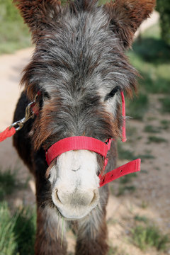 รูปภาพWinkers – เลือกดูภาพถ่ายสต็อก เวกเตอร์ และวิดีโอ5,418 | Adobe Stock