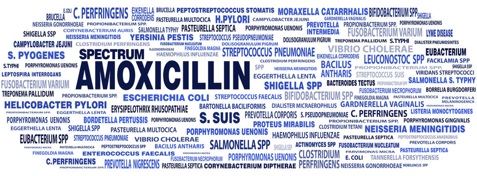 Amoxicilline-Bilder: Stock-Fotos & -Videos. | Adobe Stock