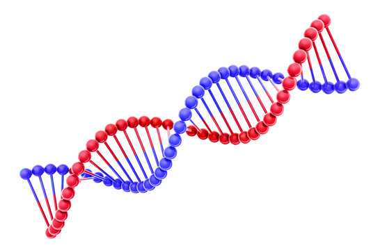 Red Dna Strand Images – Browse 29,227 Stock Photos, Vectors, and Video ...