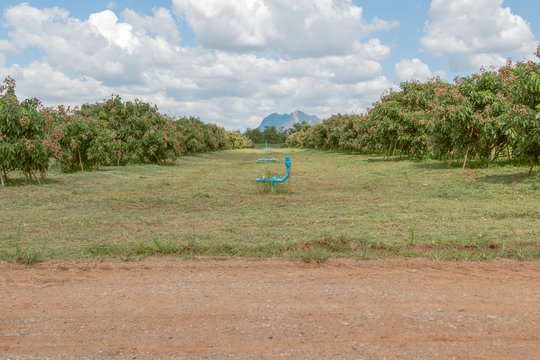 Langanes Bilder – Durchsuchen 126 Archivfotos, Vektorgrafiken und ...