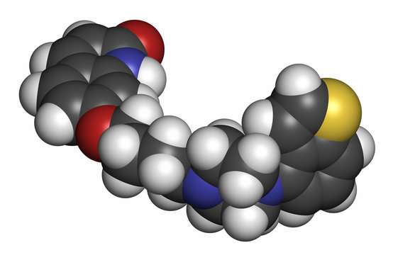 Brexpiprazole 이미지 – 찾아보기 26 스톡 사진, 벡터 및 비디오 | Adobe Stock