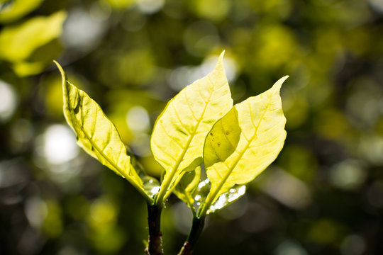 Expelled Images – Browse 11,839 Stock Photos, Vectors, and Video ...