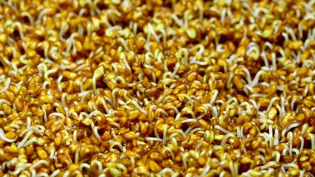 Kesse Images – Browse 63 Stock Photos, Vectors, and Video | Adobe Stock