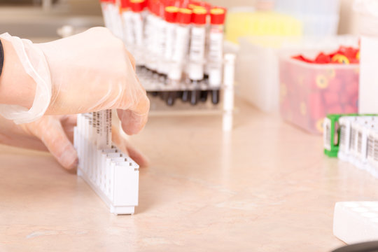 Spermiogram bilder – Bläddra bland 93 stockfoton, vektorer och videor ...