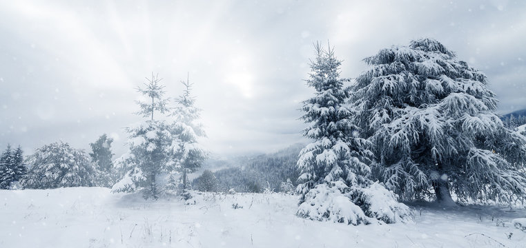 Free Snow Images – Browse 17,739 Free Stock Photos, Vectors, and Video ...