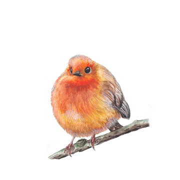 Fluey Bilder – Durchsuchen 667 Archivfotos, Vektorgrafiken und Videos ...