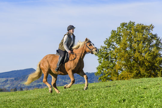 Reitende Images – Browse 14 Stock Photos, Vectors, and Video | Adobe Stock