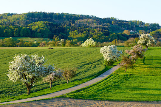 รูปภาพBodenseeregion – เลือกดูภาพถ่ายสต็อก เวกเตอร์ และวิดีโอ3,039 ...