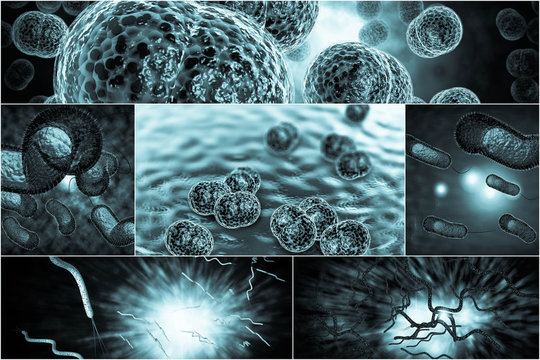 "Bacteria Collage" Imagens – Procure 23 fotos, vetores e vídeos | Adobe ...