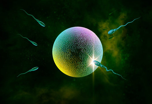 Ejaculation bilder – Bläddra bland 5,837 stockfoton, vektorer och ...