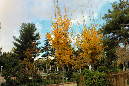 Bulur Images – Browse 16 Stock Photos, Vectors, and Video | Adobe Stock