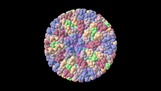 Bmn Images – Browse 275 Stock Photos, Vectors, and Video | Adobe Stock