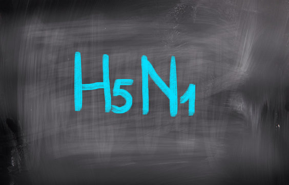 รูปภาพH5N1 – เลือกดูภาพถ่ายสต็อก เวกเตอร์ และวิดีโอ2,759 | Adobe Stock