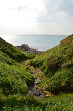 Ruisselet Images – Browse 46 Stock Photos, Vectors, and Video | Adobe Stock