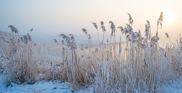 Hoarfrost Images – Browse 2,909,762 Stock Photos, Vectors, and Video ...