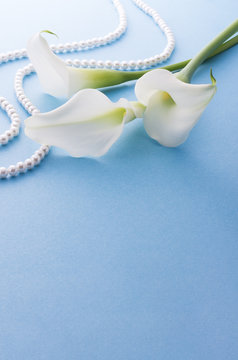 Blue Funeral Background Images – Browse 6,868 Stock Photos, Vectors ...