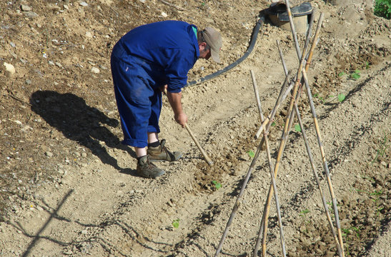 Kargen Images – Browse 238 Stock Photos, Vectors, and Video | Adobe Stock